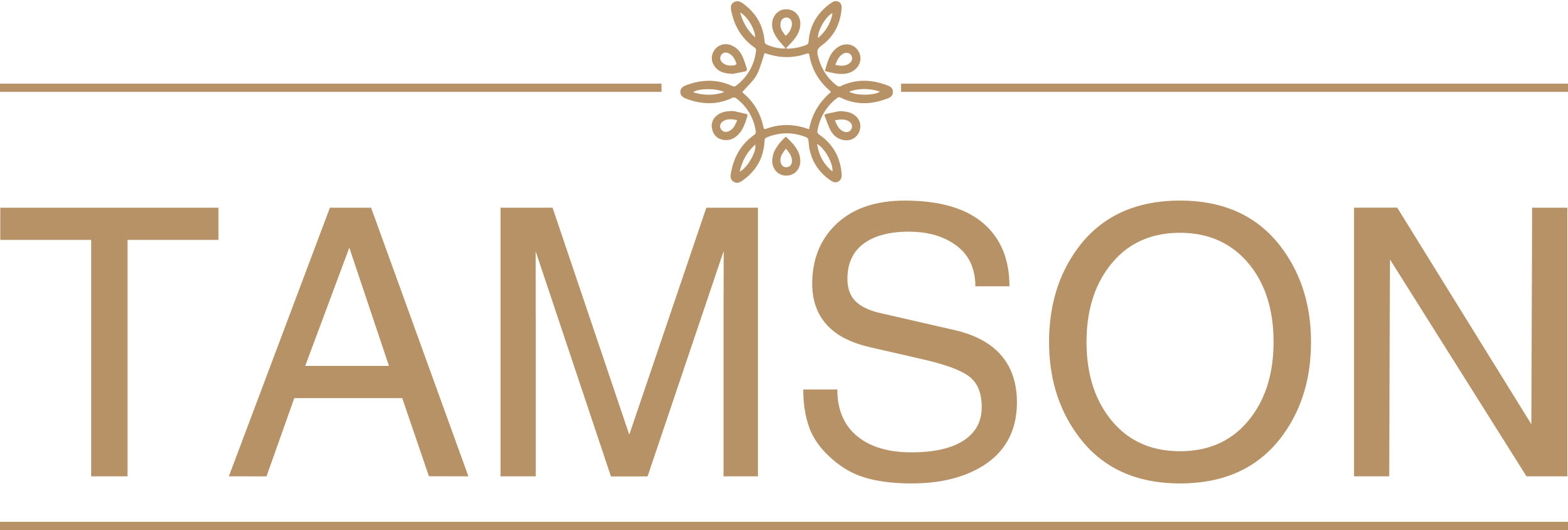 TAMSON GROUP PTY LTD – TAMSON GROUP PTY LTD